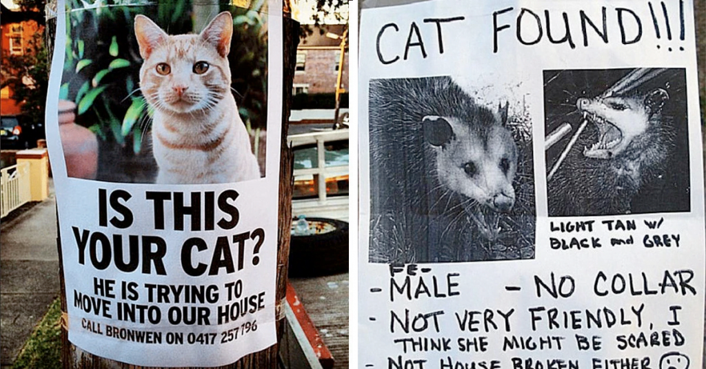 Hilarious “Lost Cat Posters” That’ll Make You Laugh Out Loud (16 Pics ...